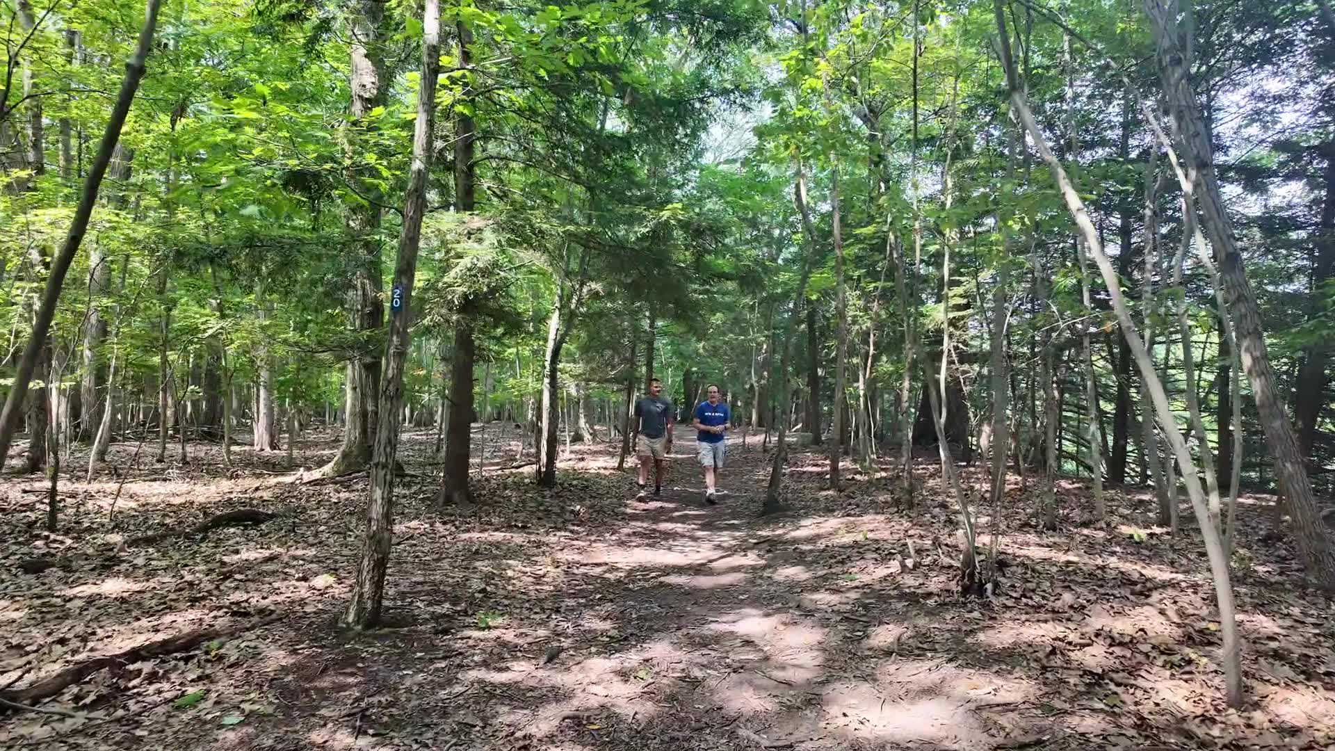 Along 4 the Hike: Beaver Meadow Nature Preserve – News 4 Buffalo