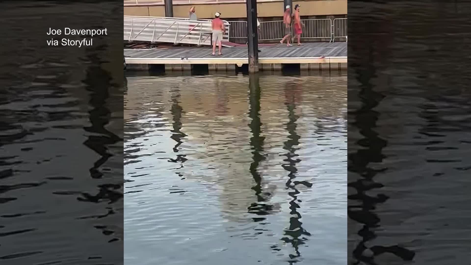 Wild brawl caught on camera at Montgomery dock ends with warrants ...