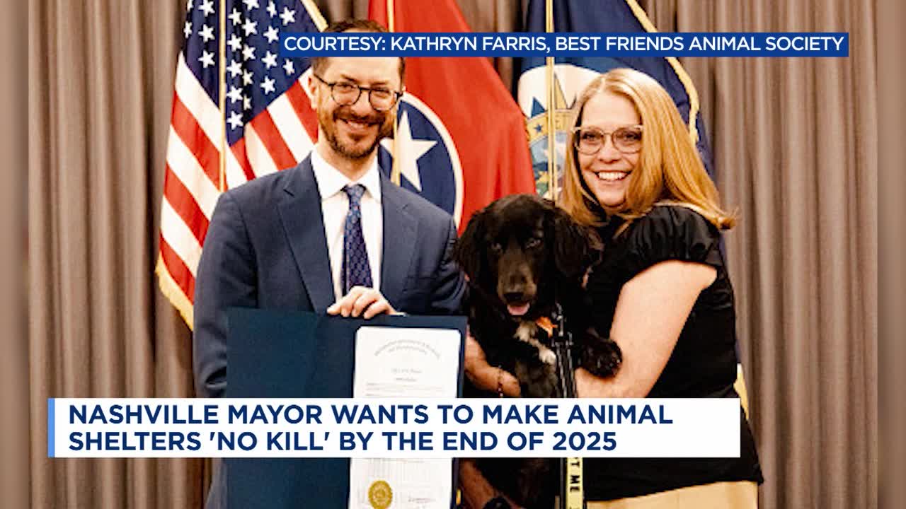 Nashville, TN mayor wants to make all area animal shelters ‘no kill’ by ...