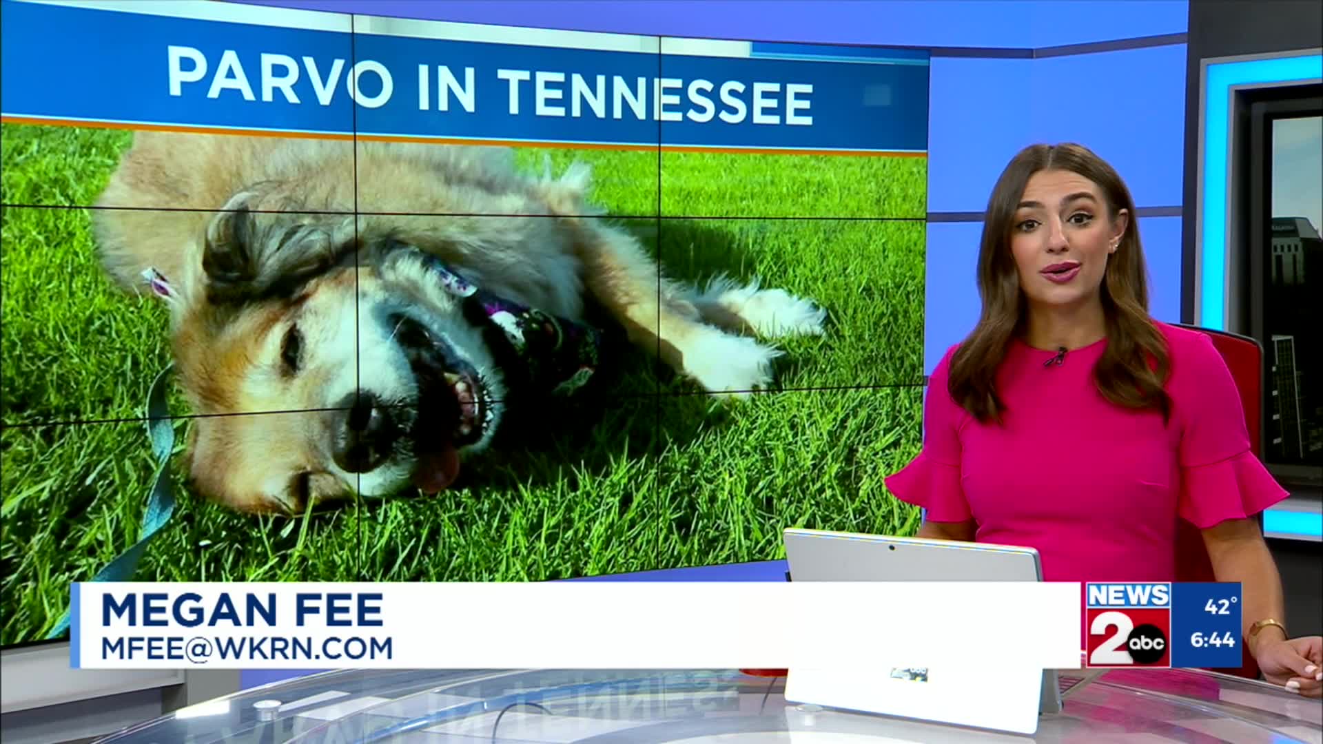 Parvovirus risk is high in Tennessee – WKRN News 2