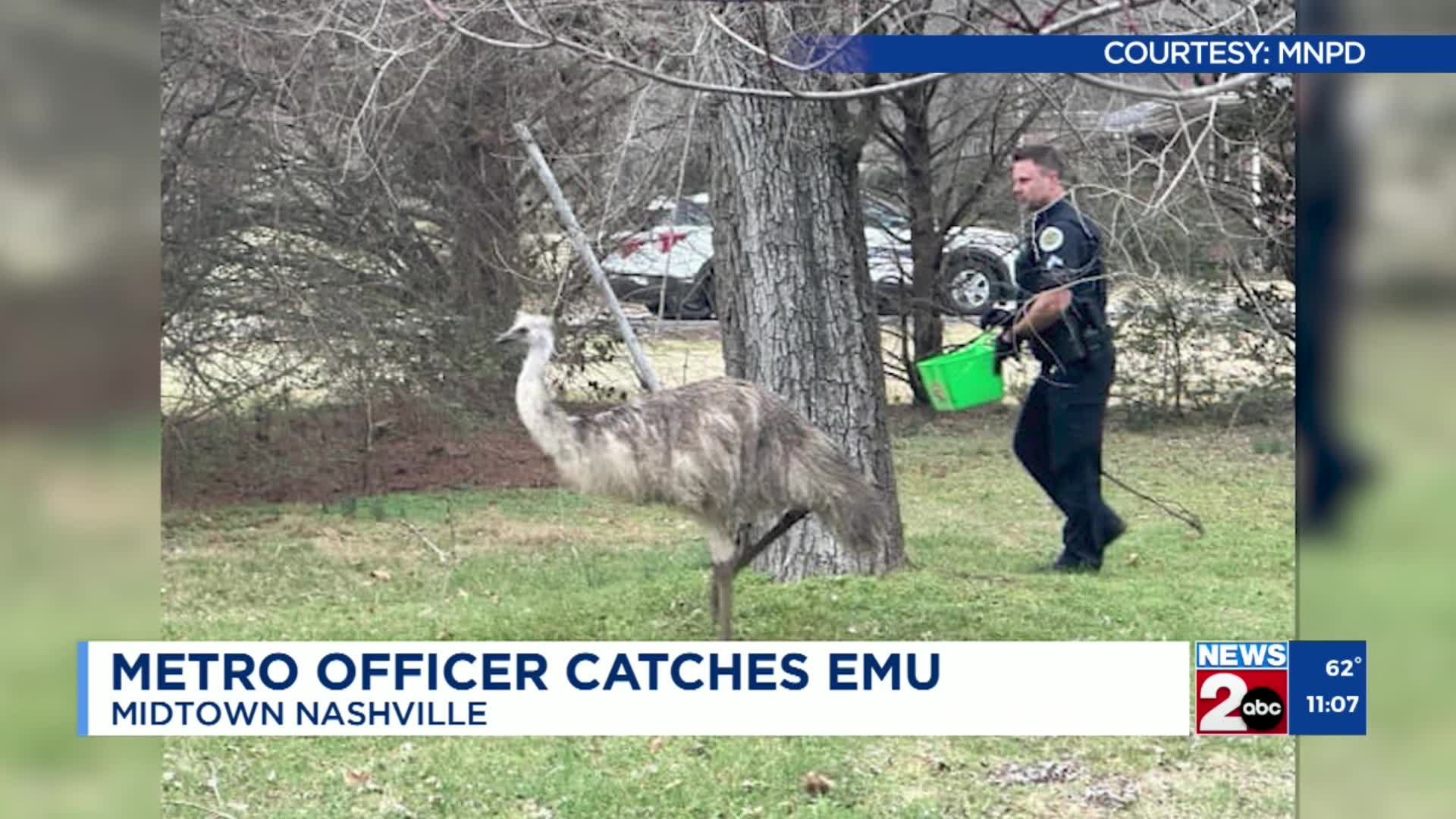 Metro officer helps capture emu – WKRN News 2