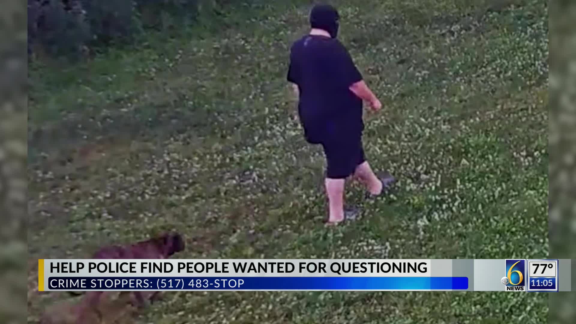 Crime Stoppers: Crime in Lansing and Jackson – WLNS 6 News