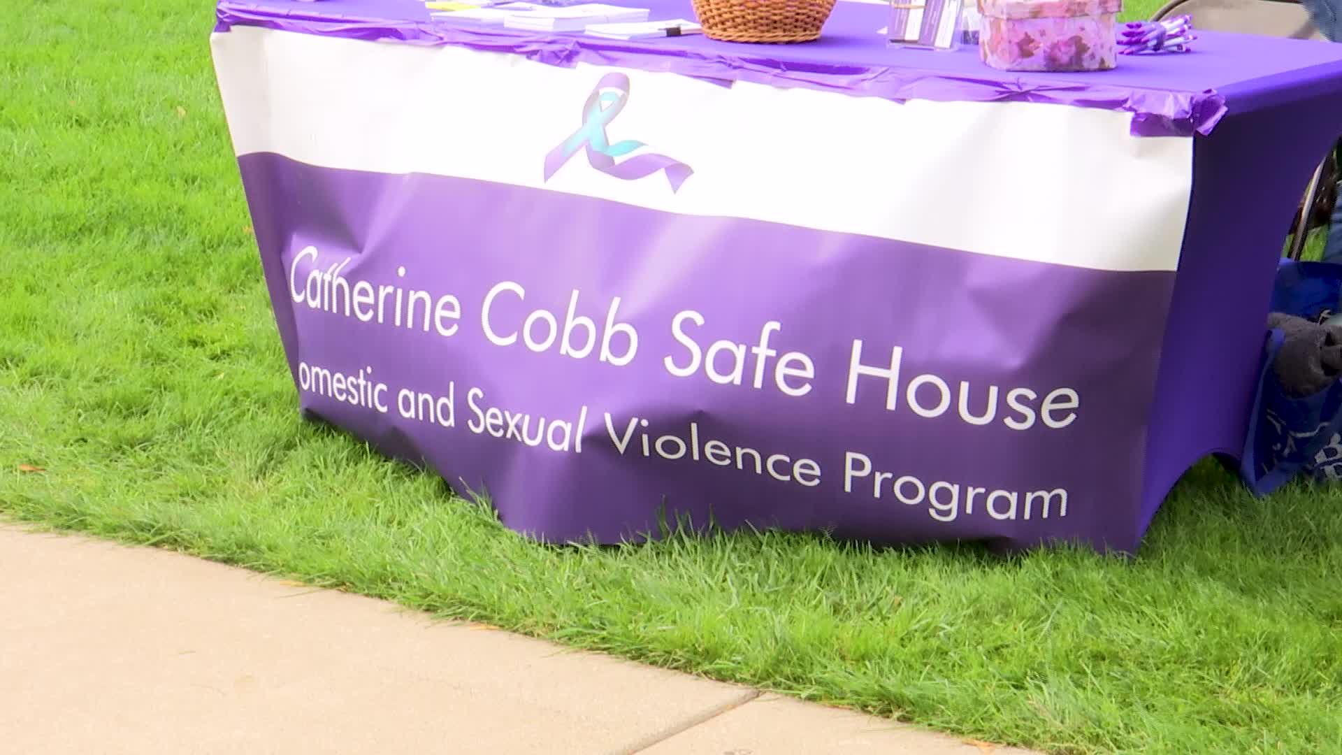 Domestic Violence Rally – WLNS 6 News