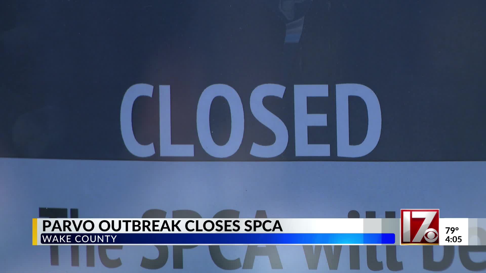 Parvovirus outbreak temporarily closes Wake County SPCA – CBS17.com