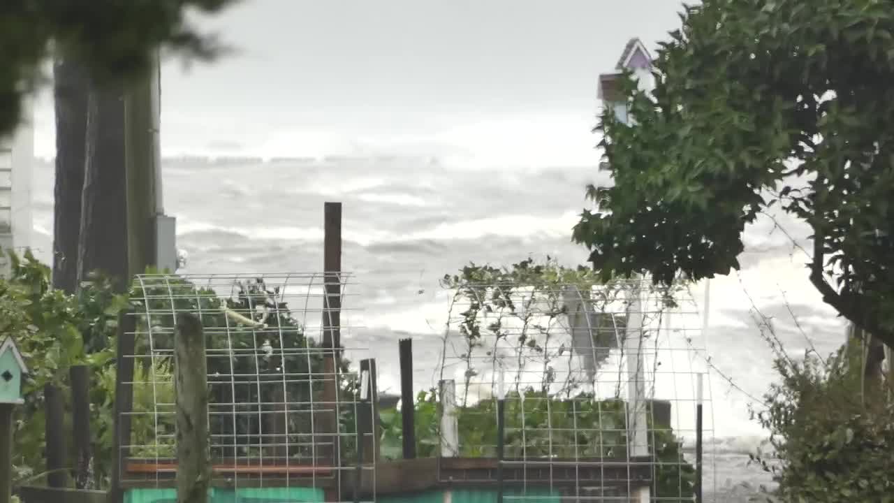 VIDEO: Pungo River whitecaps at Belhaven after Ophelia (Credit: Wayne ...