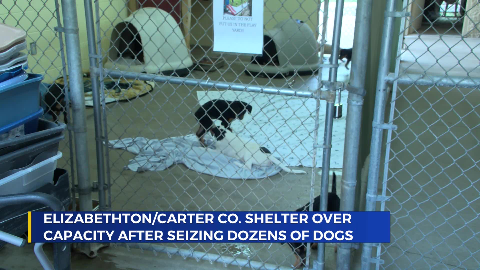 Elizabethton Carter County Animal Shelter