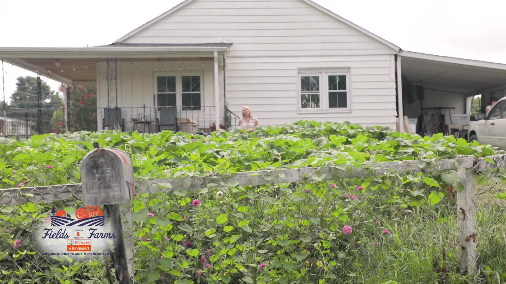 Fields & Farms: Rain Crow Farm – WJHL | Tri-Cities News & Weather