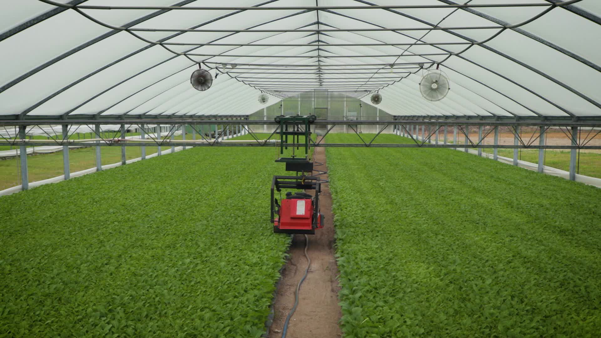ON CAROLINA SOIL: BLALOCK TOBACCO – WNCT
