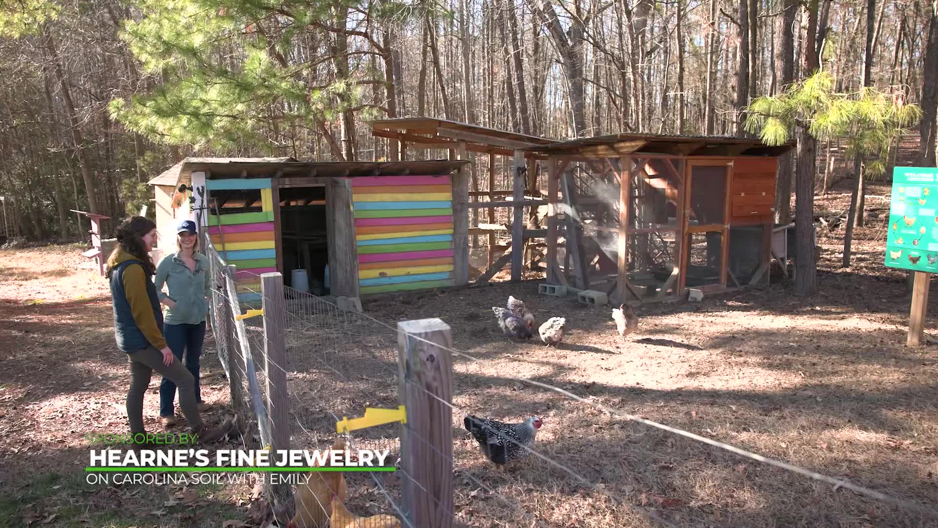 On Carolina Soil with Emily: Hub Farm – WNCT