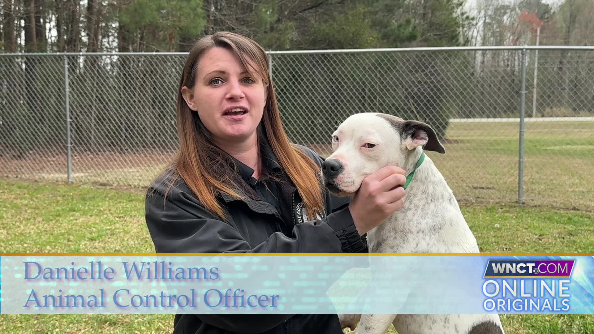 WNCT.com’s Best of Pets: Junie – WNCT