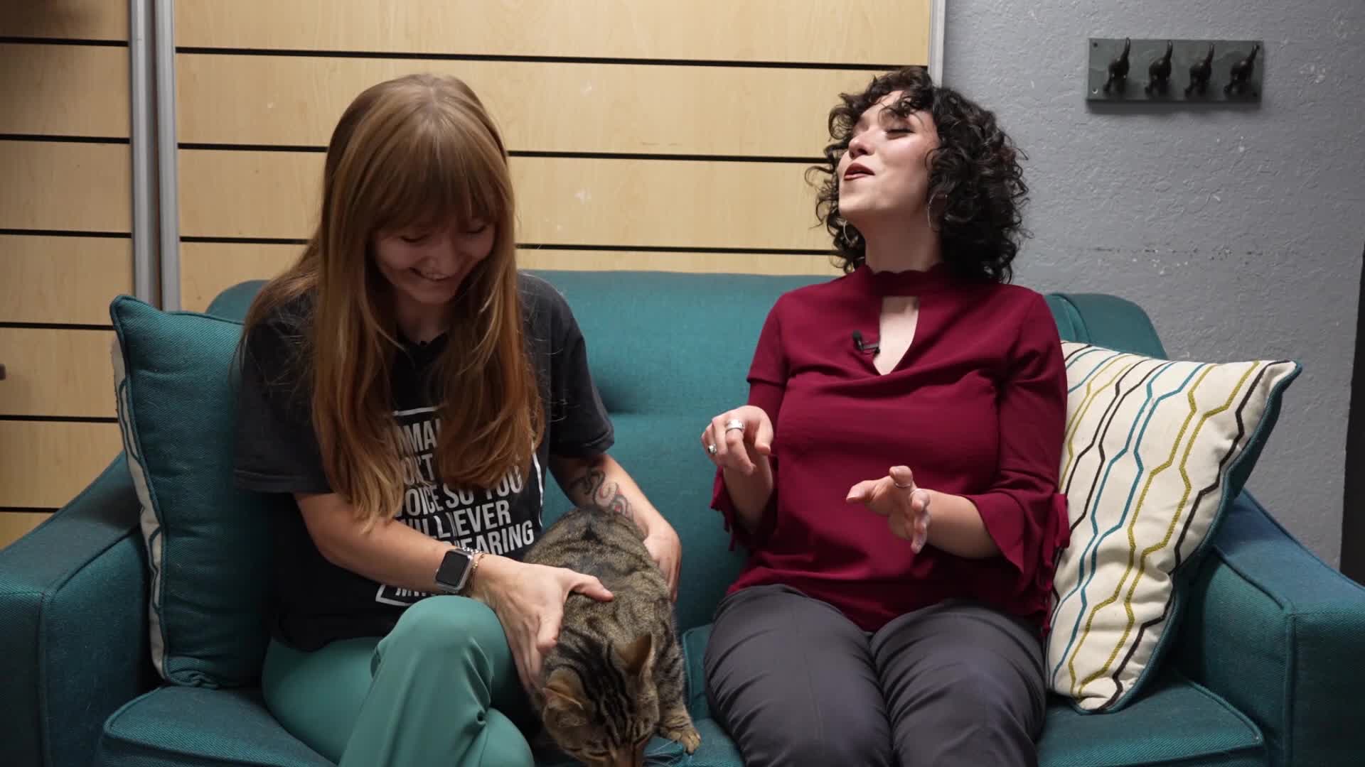 Adoptable Pets: Johnny Cats – WNCT