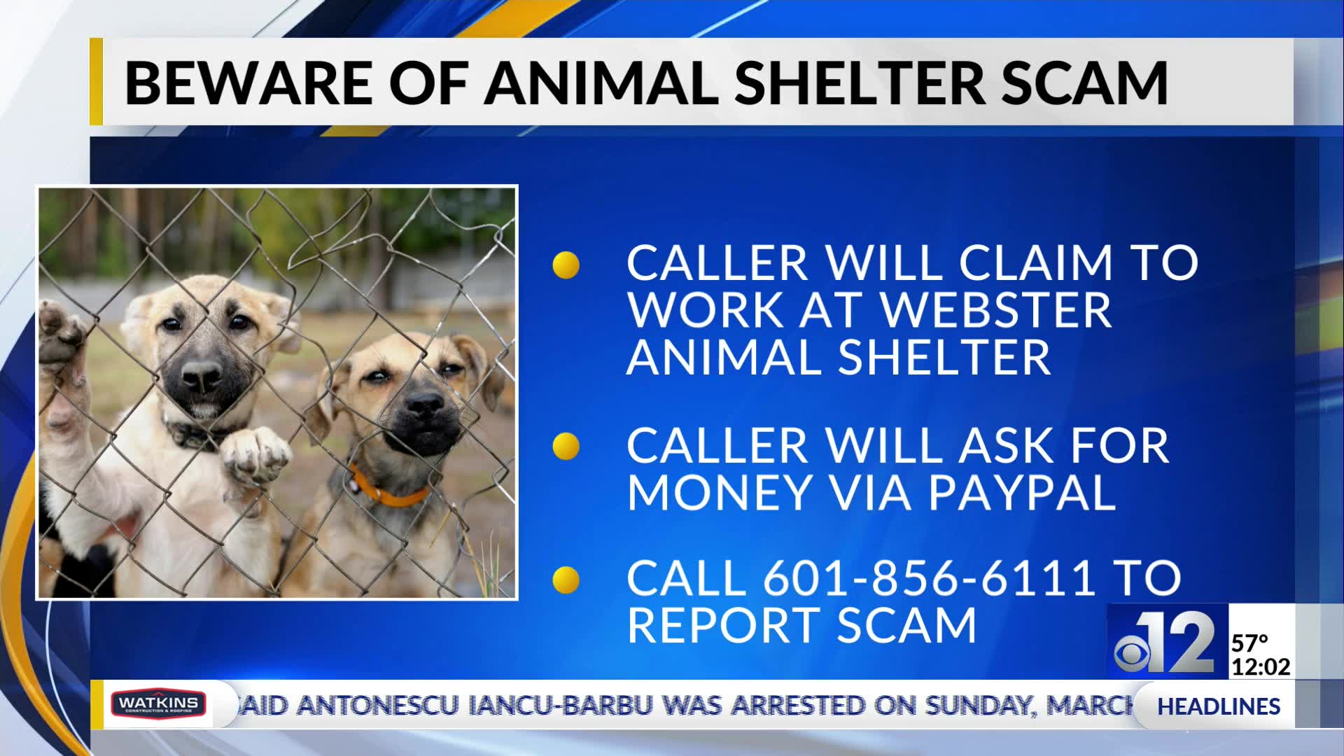 Madison police warn neighbors about animal shelter scam – WJTV