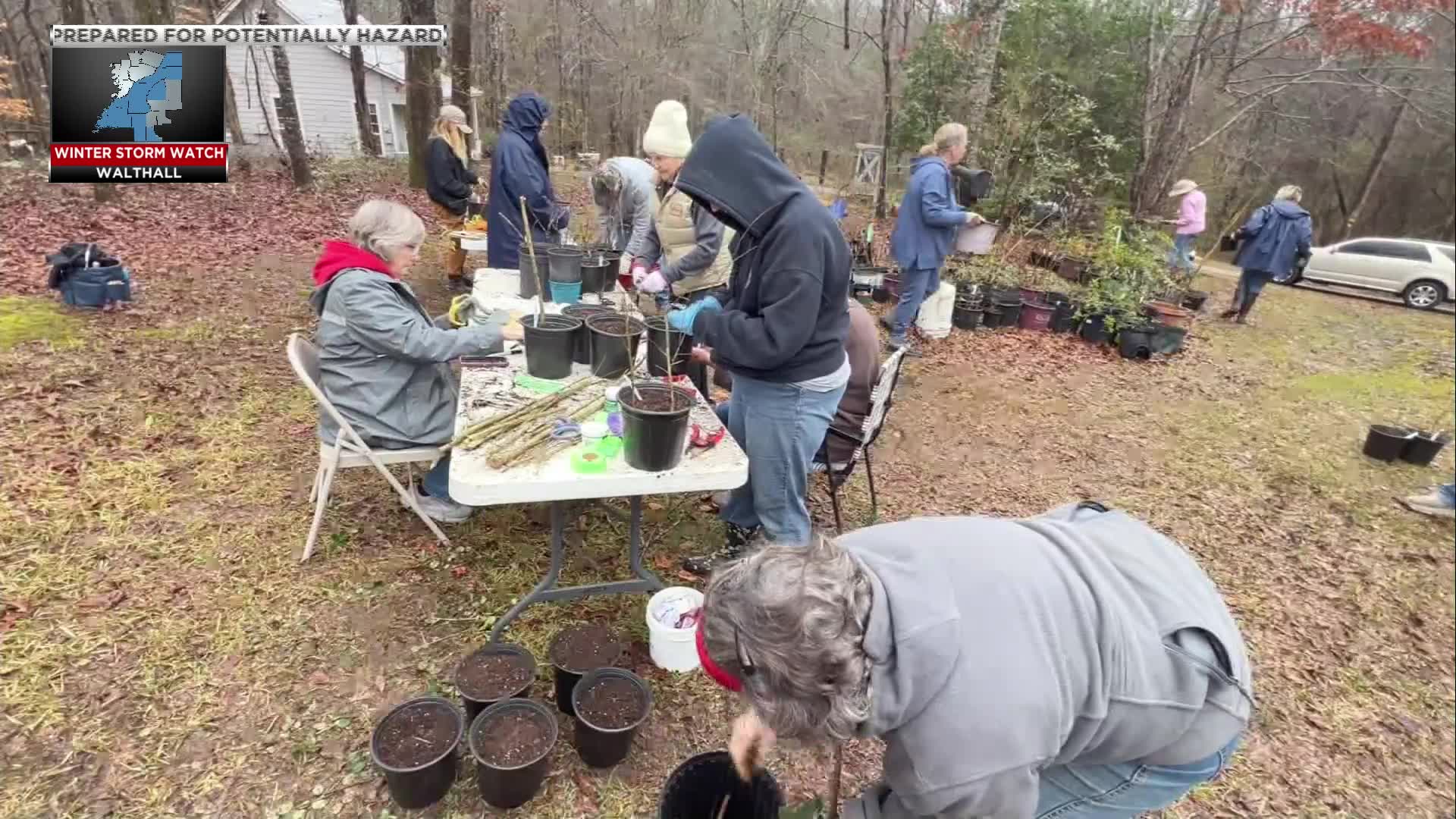 Save the date: Rankin County plant sale on April 28 – WJTV