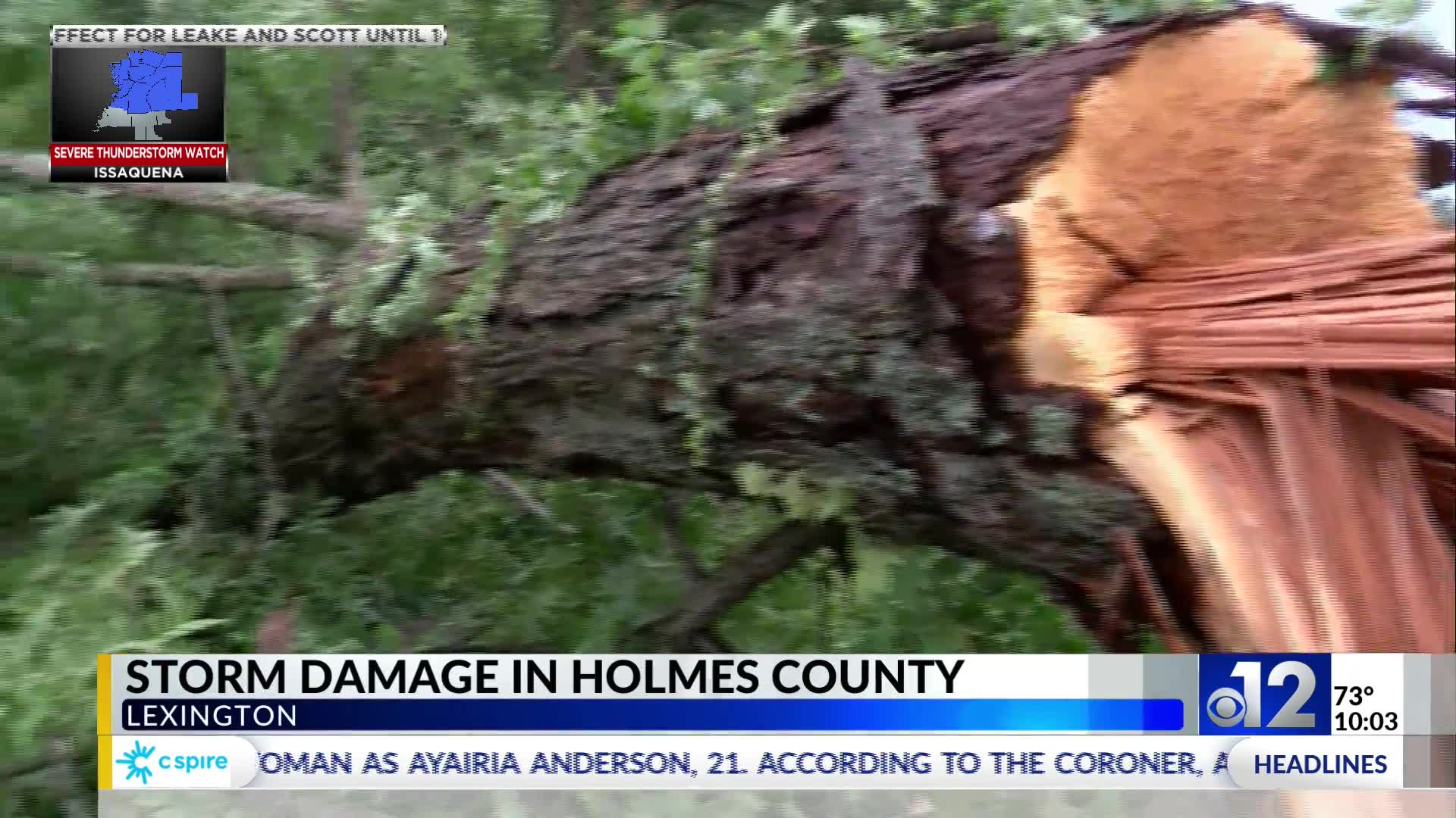 Storms Knock Down Trees Power Lines In Lexington Wjtv