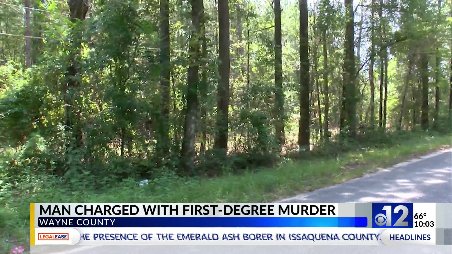 Man charged with first-degree murder in Wayne County – WJTV