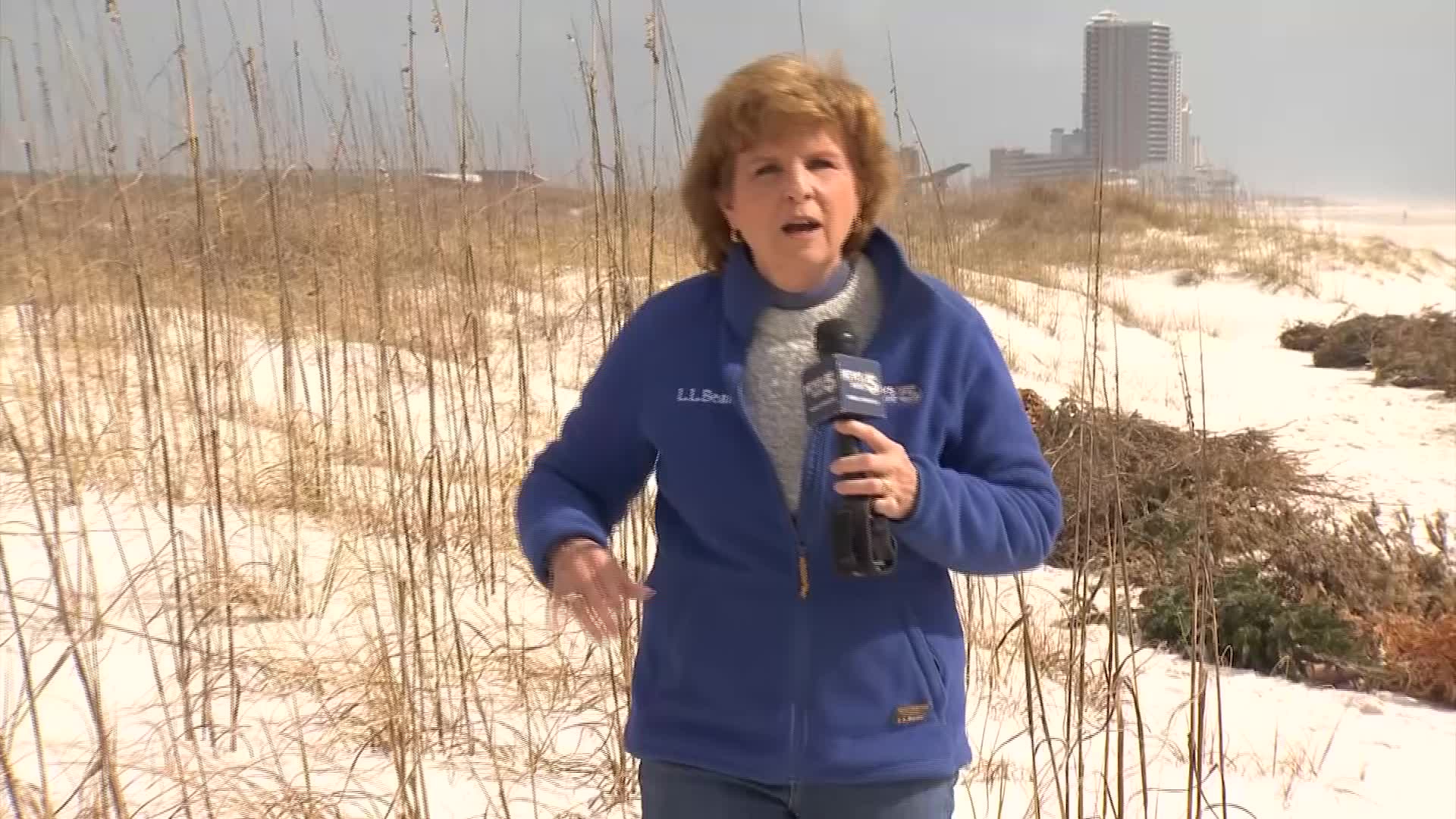 200 Gulf Shores students hit the beach to do good for sand dunes – WKRG ...