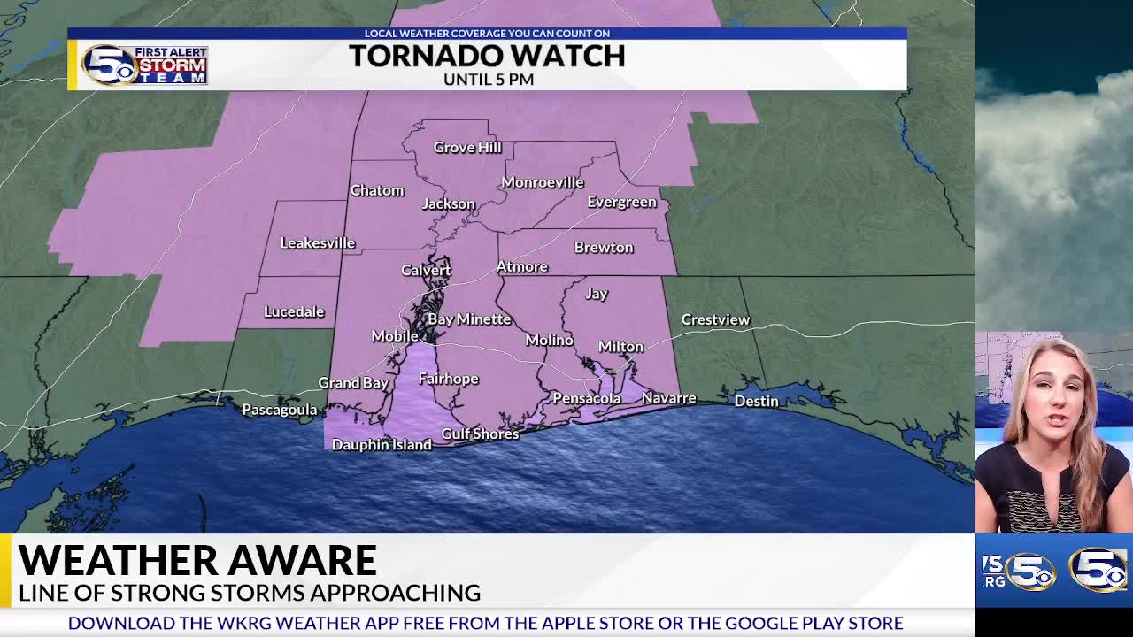 11 am update – WKRG News 5