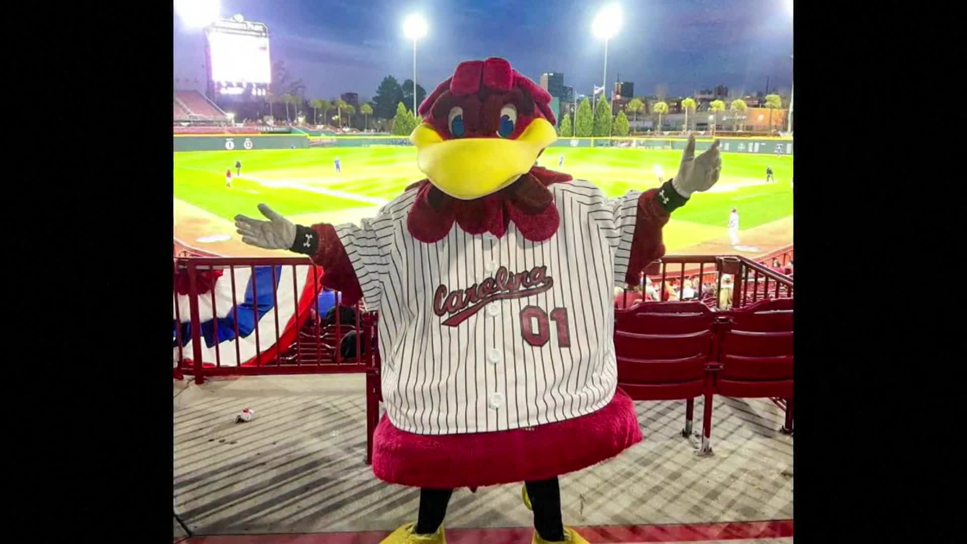 Sarah Sylvester “Cocky” USC – Video Courtesy of ABC News – WJBF