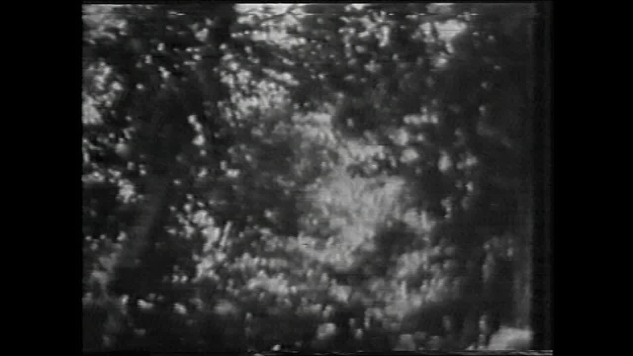 Trooper Terry Reunion Special (2003) – WJBF