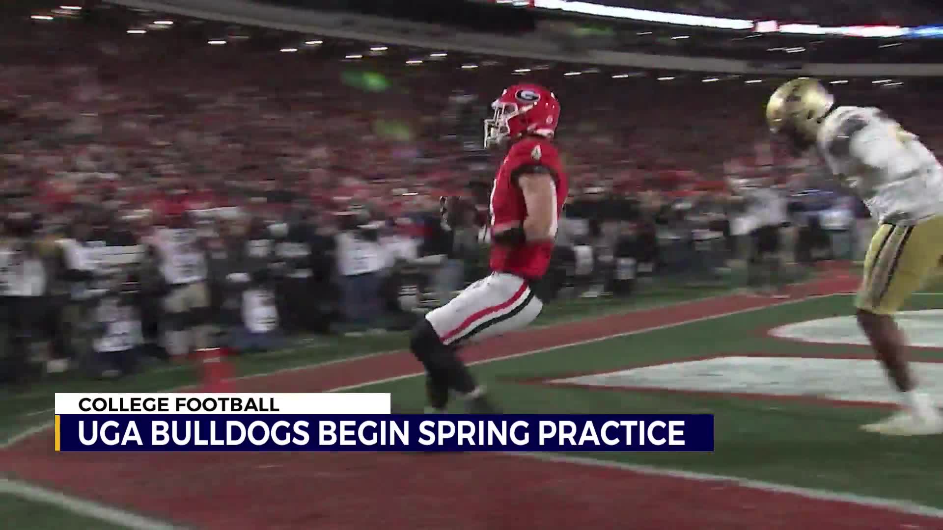 Georgia Bulldogs kick off spring football with new transfers, returning ...
