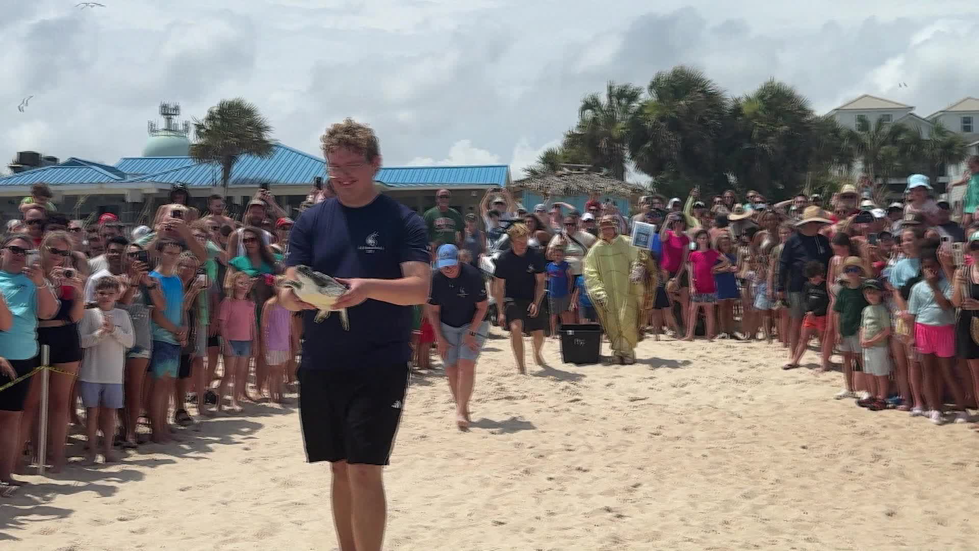 Bye-Bye Bolognese: Sea turtle released at St.George Island ...