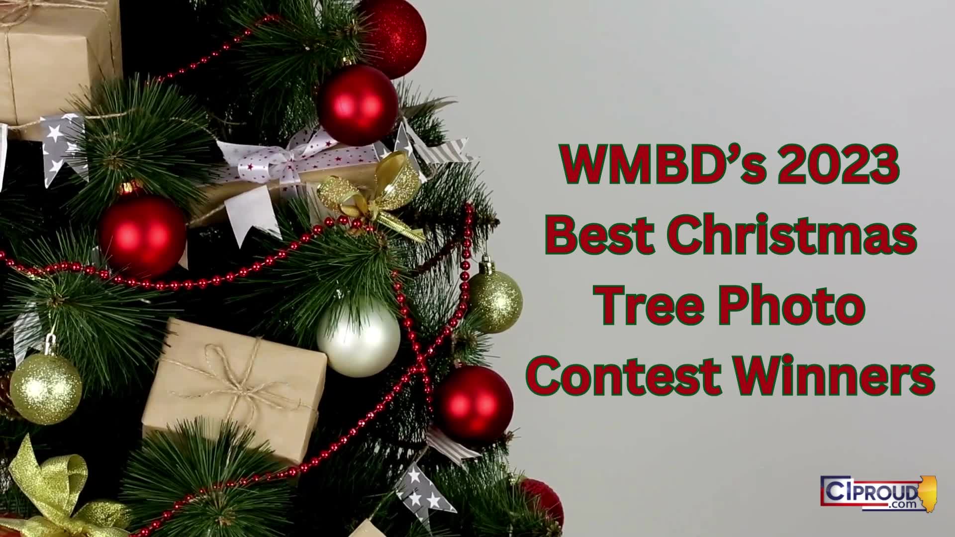 Best Christmas Tree Photo contest winners – CIProud.com