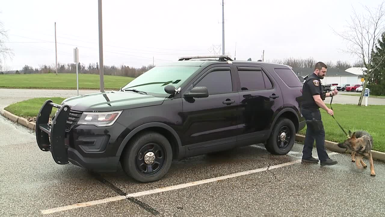 Legacy K-9 of fallen officer joins Streetsboro police – Fox 8 Cleveland WJW
