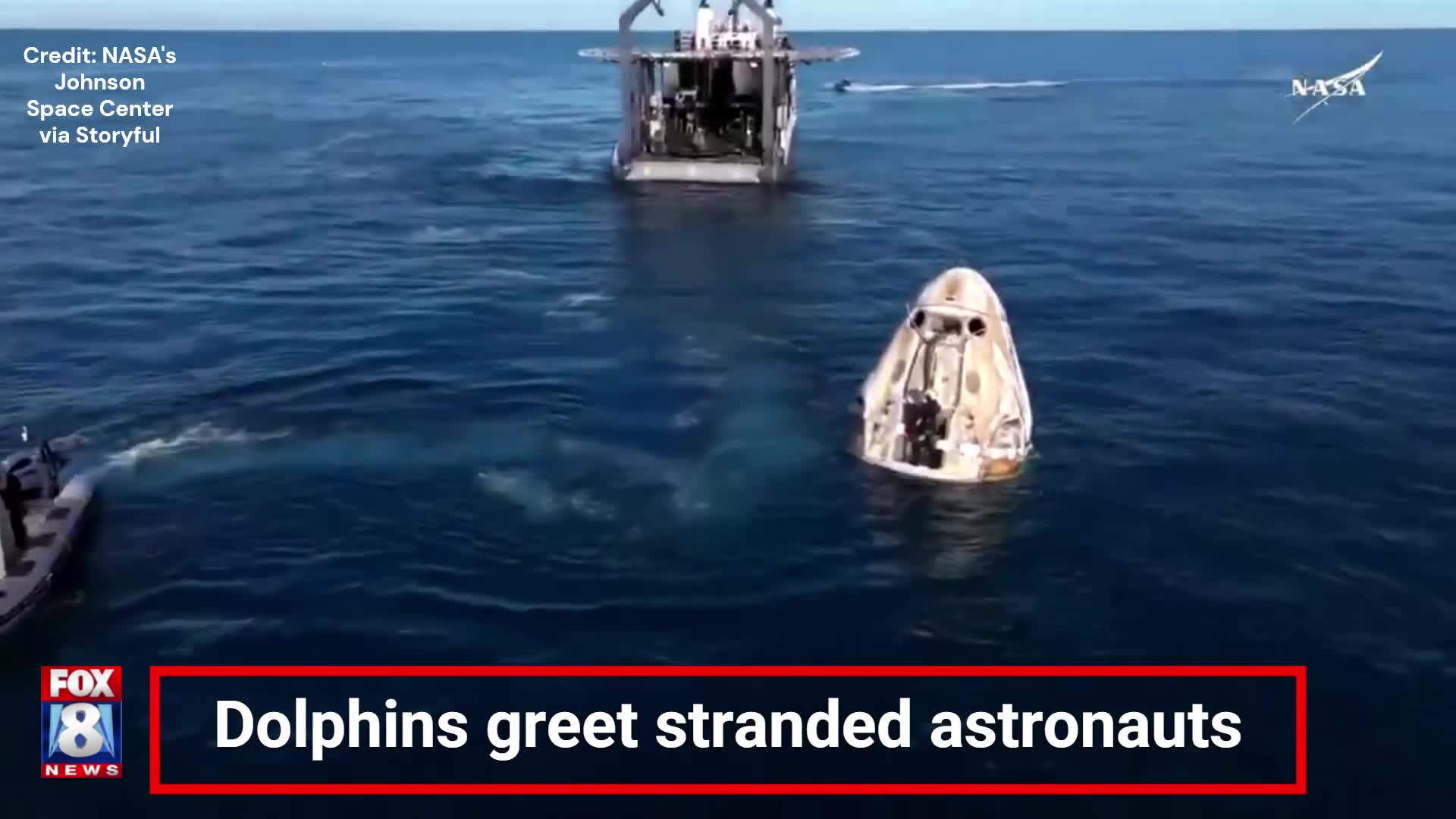 Dolphins greet astronauts – Fox 8 Cleveland WJW