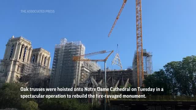 Watch: Oak trusses raised to roof of fire-ravaged Notre Dame Cathedral ...