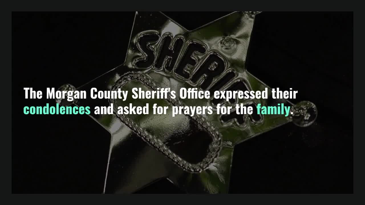 4-year-old boy dies after dog attack in Alabama: Sheriff’s office – Fox ...