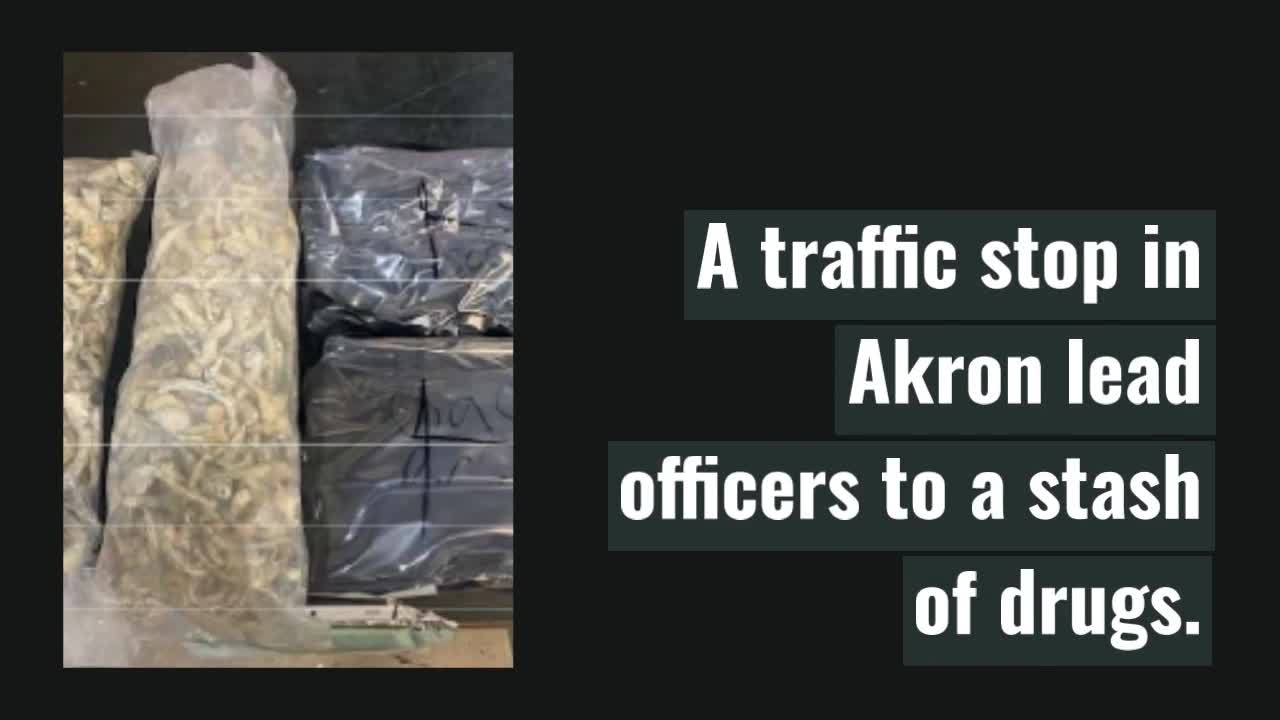 Stash of drugs discovered during local traffic stop – Fox 8 Cleveland WJW