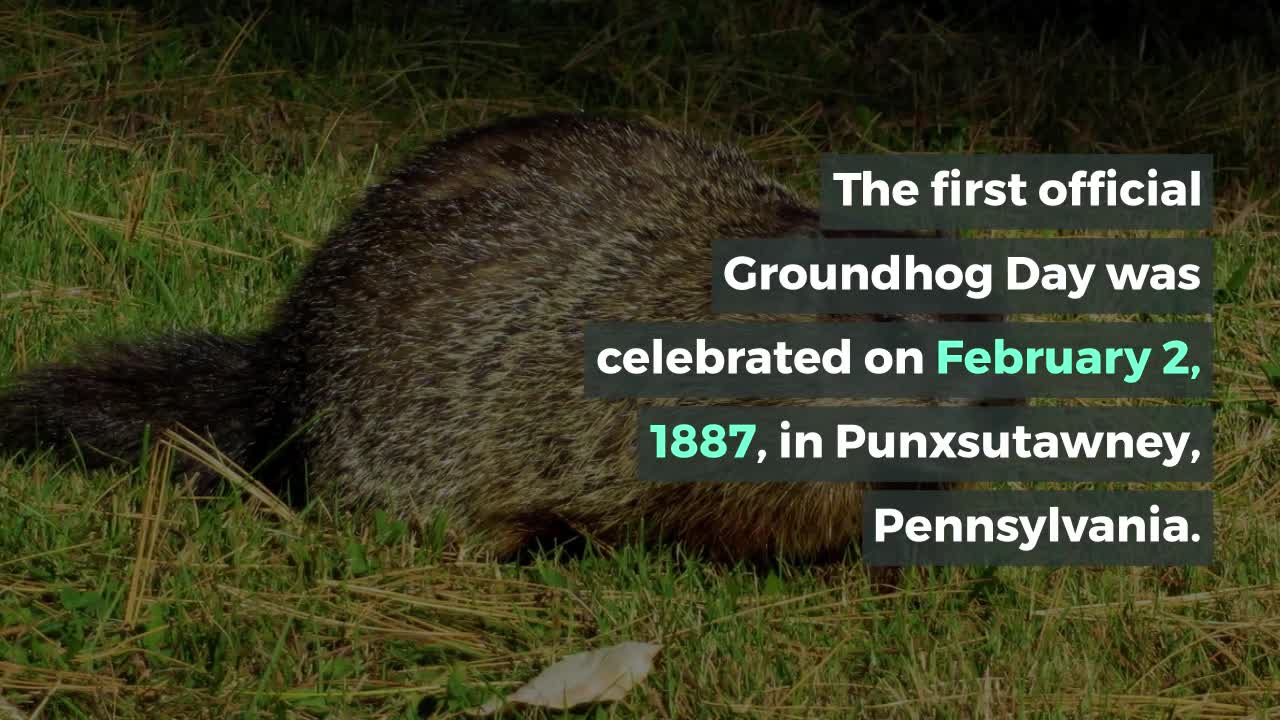 Groundhog Day – Fox 8 Cleveland WJW