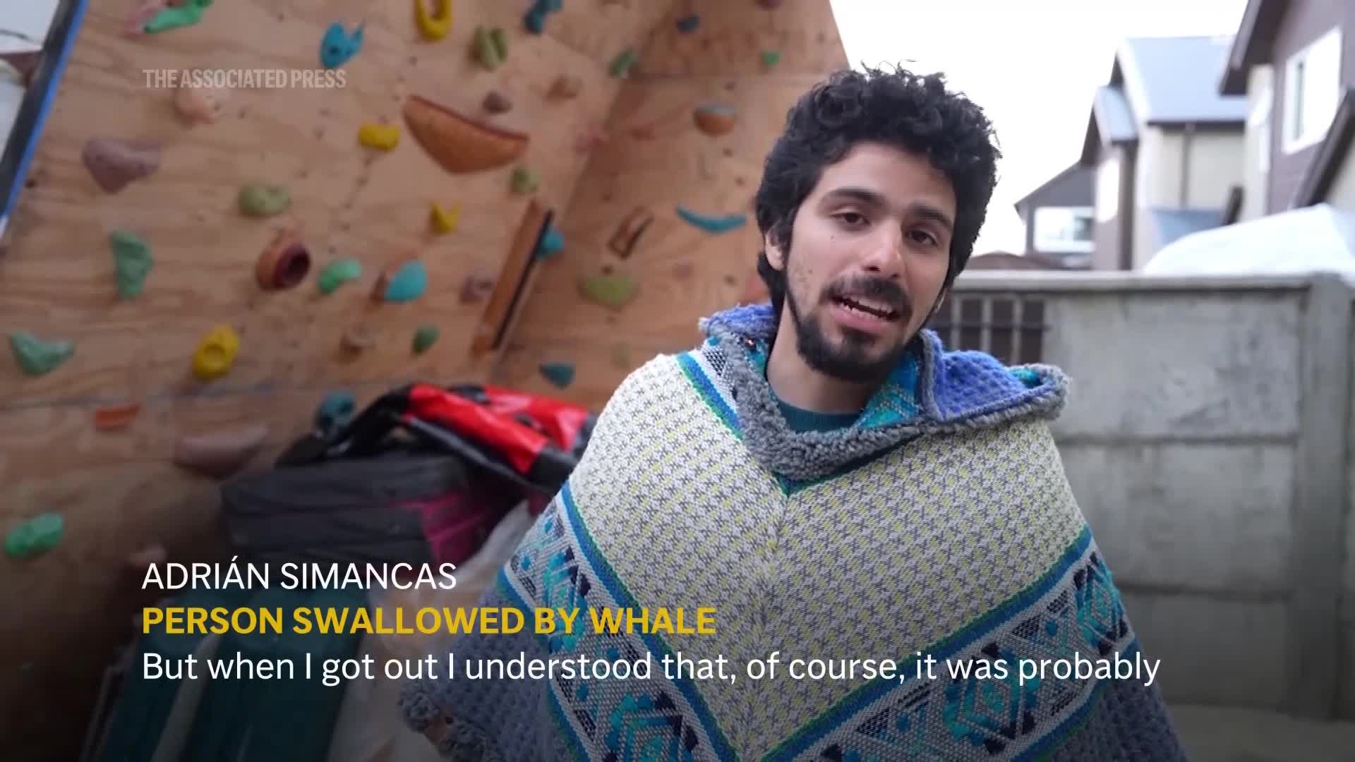 Humpback whale briefly swallows kayaker in Chile (Credit: DELL SIMANCAS ...
