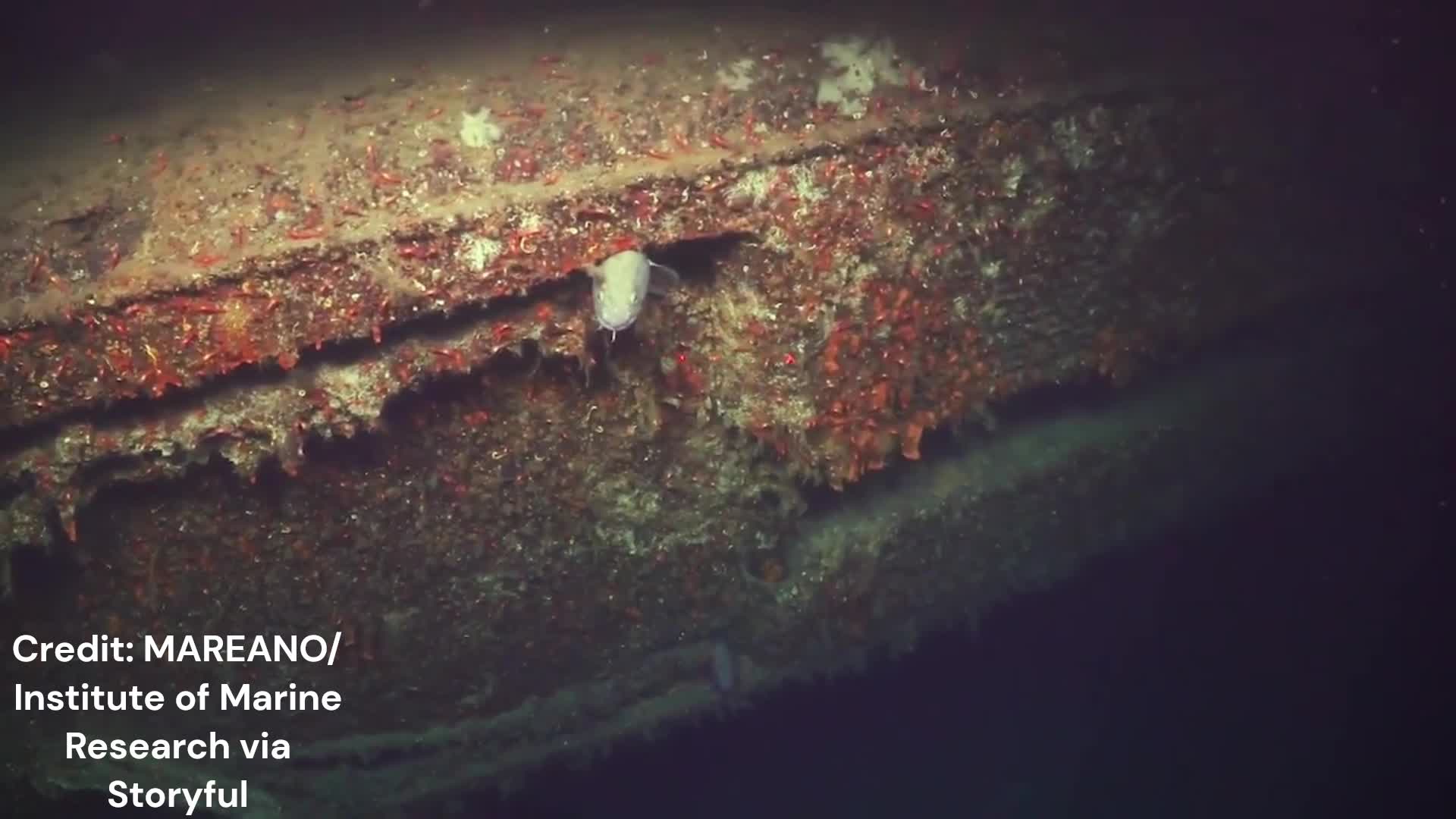 British WWII Submarine Wreck Discovered After 83 Years (Credit: MAREANO ...