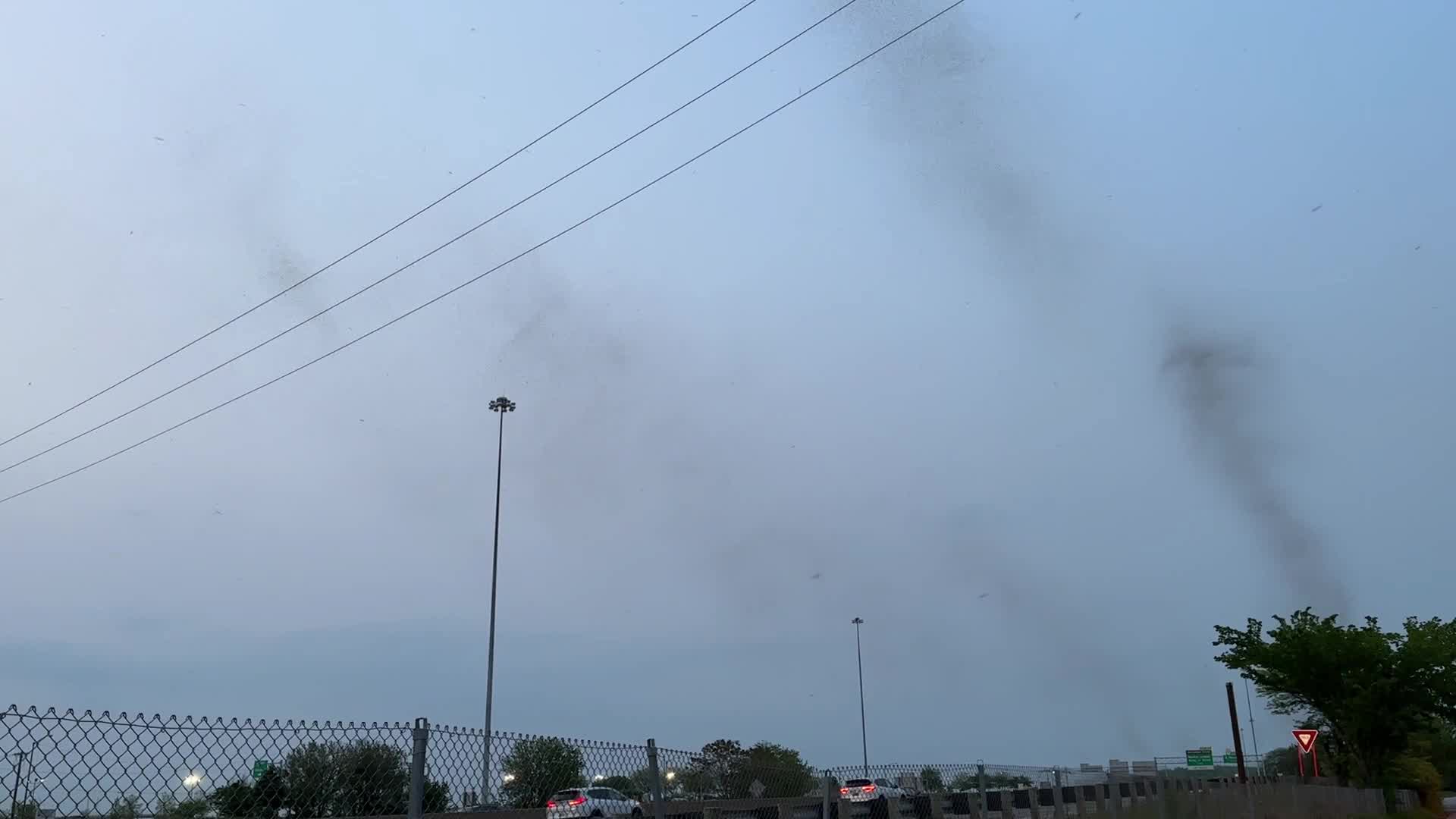 Video: Clouds of midges swarm outside FOX 8 station – Fox 8 Cleveland WJW