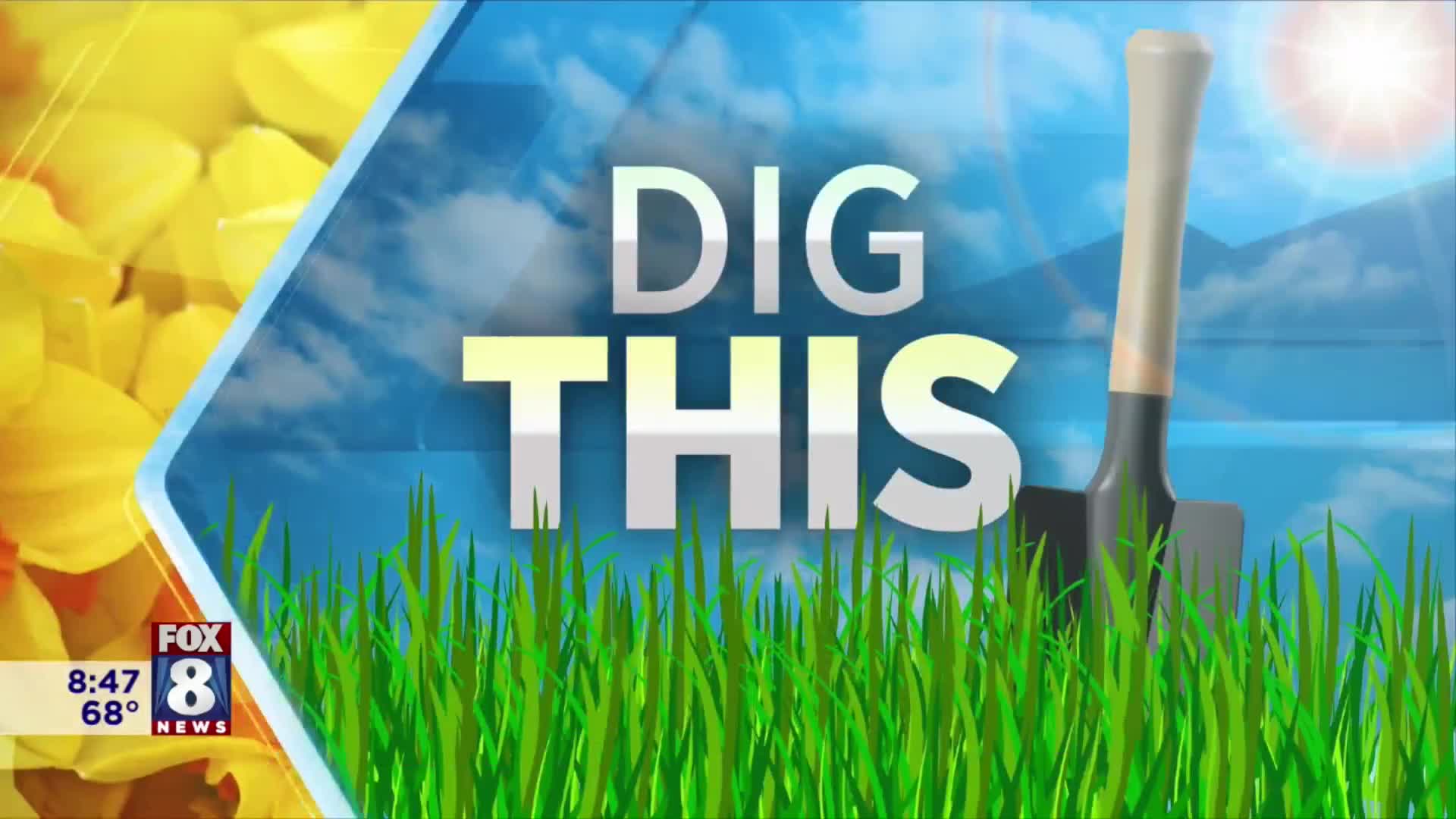 DIG THIS: The secrets to gardening success – Fox 8 Cleveland WJW