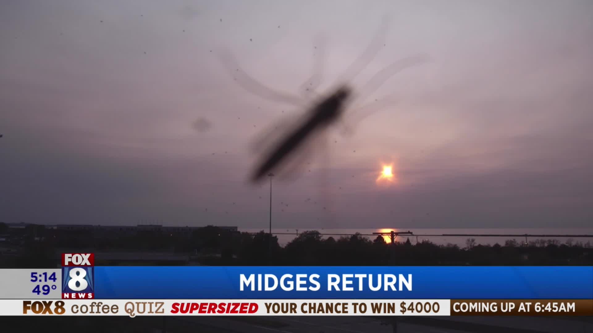 Midges return to Lake Erie – Fox 8 Cleveland WJW