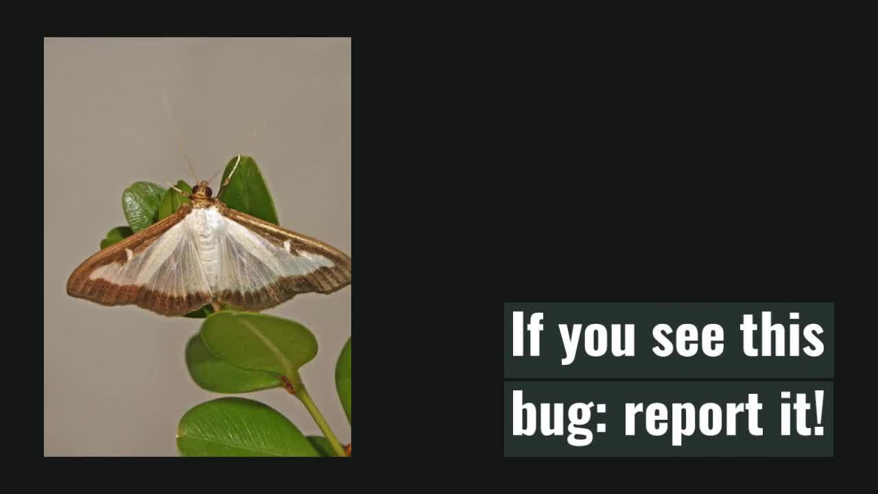 See it, report it: Invasive bug lands in Ohio – Fox 8 Cleveland WJW