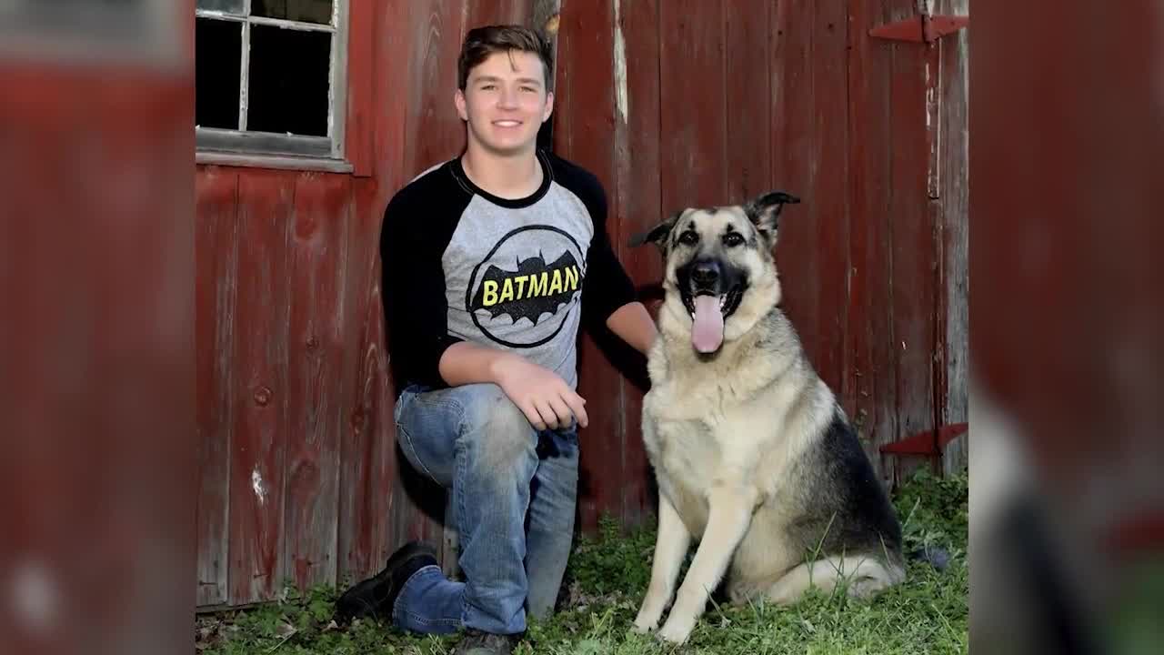 Community honoring Max Soviak with 2nd charity dog walk – Fox 8 ...