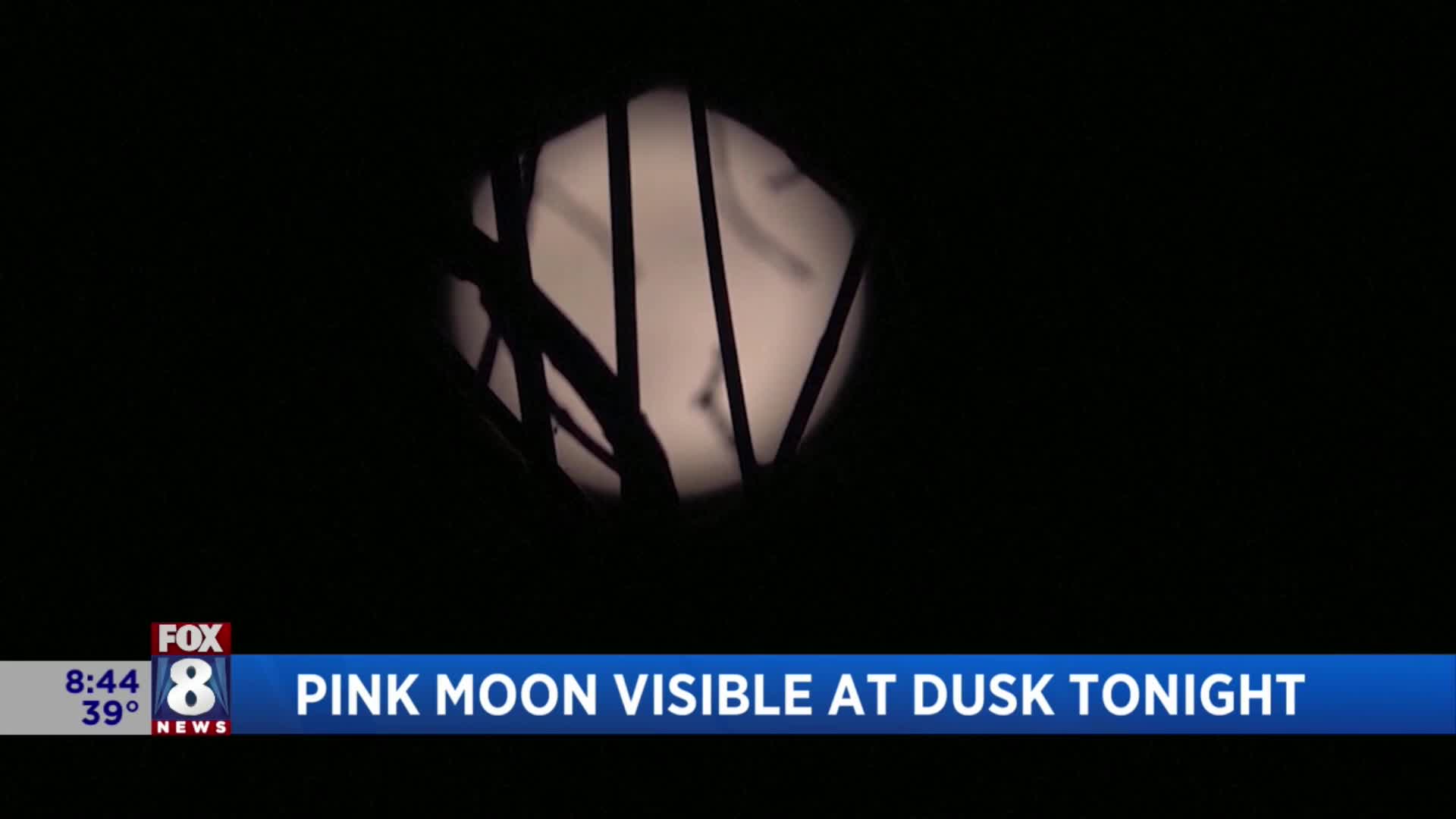 Look up! Pink moon visible Saturday night – Fox 8 Cleveland WJW
