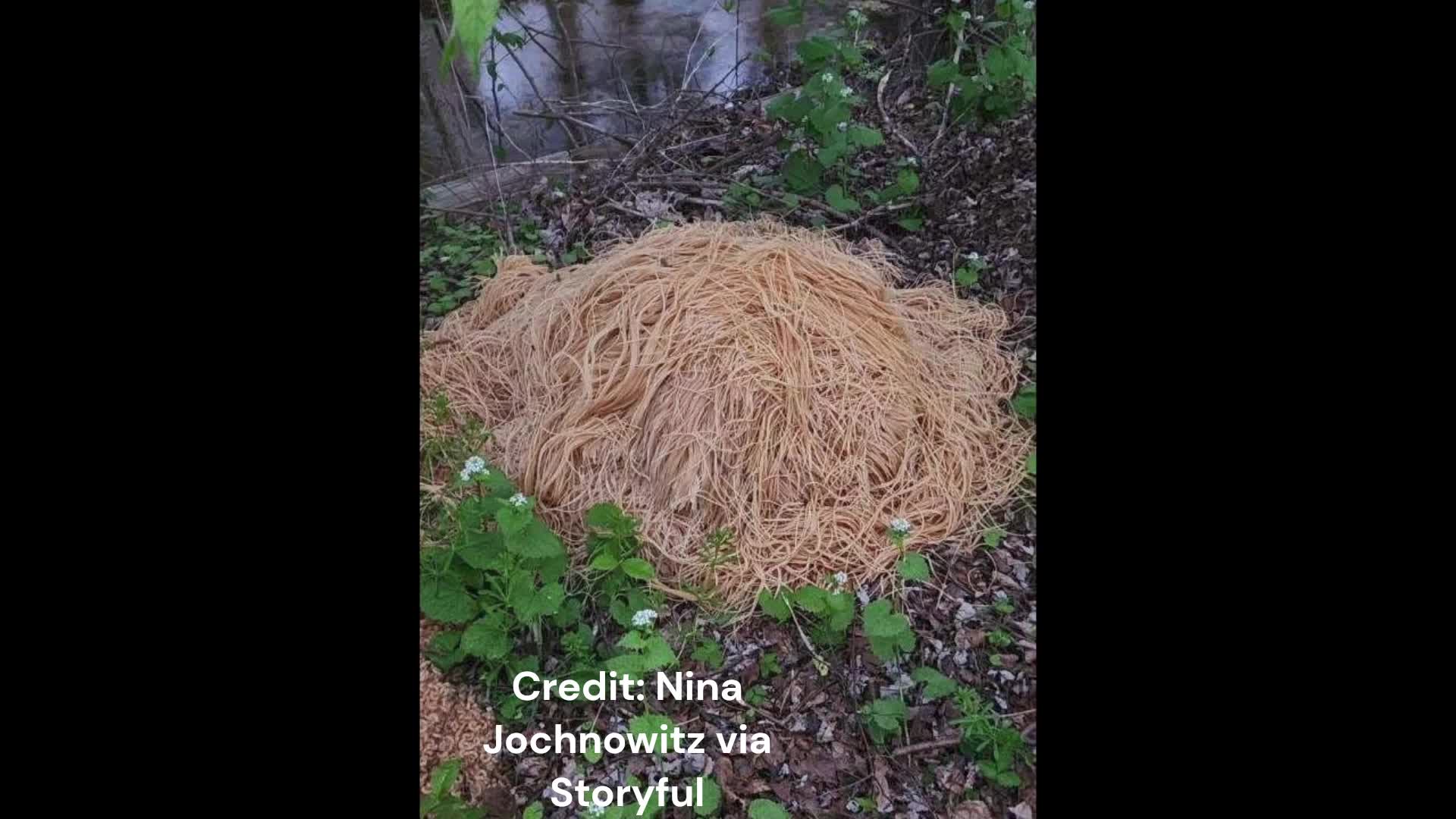 ‘Mission Impastable’: New Jersey Town Cleans up ‘300-400 Pounds’ of ...