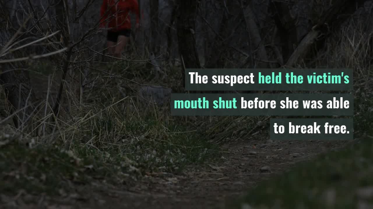 Brother fights off sister’s attempted kidnapper – Fox 8 Cleveland WJW