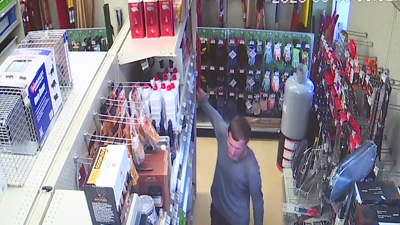 Man clips off ankle monitor at local Ace Hardware – Fox 8 Cleveland WJW