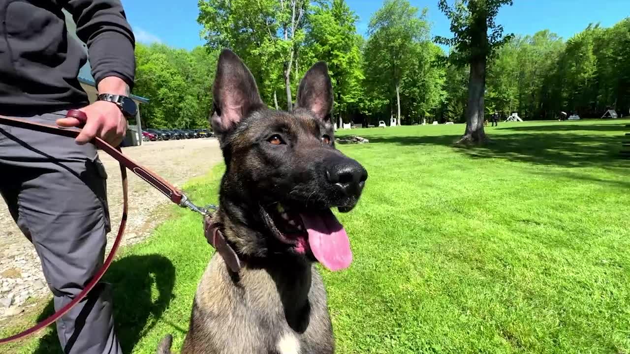 How Euclid’s new K-9 pays tribute to fallen officer Jacob Derbin – Fox ...