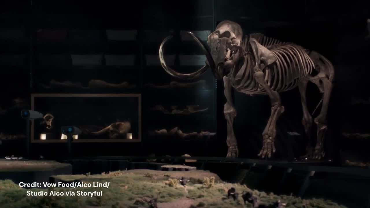 Lab-grown meatball made with mammoth DNA (Credit: Vow Food/Aico Lind ...