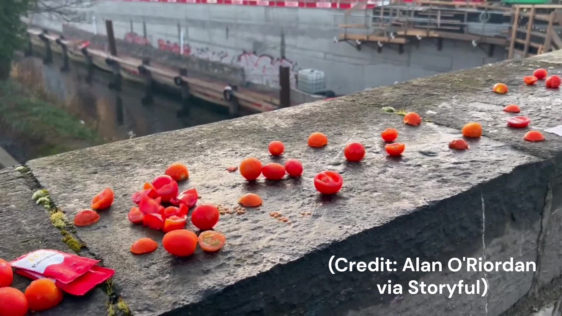 TikTok trend turns ‘Cherry Tomato Bridge’ into Ireland’s newest ...