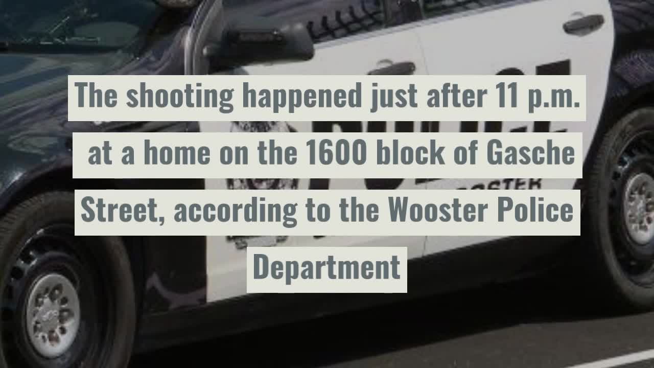 Police: Wooster 17-year-old shoots, kills father after altercation ...