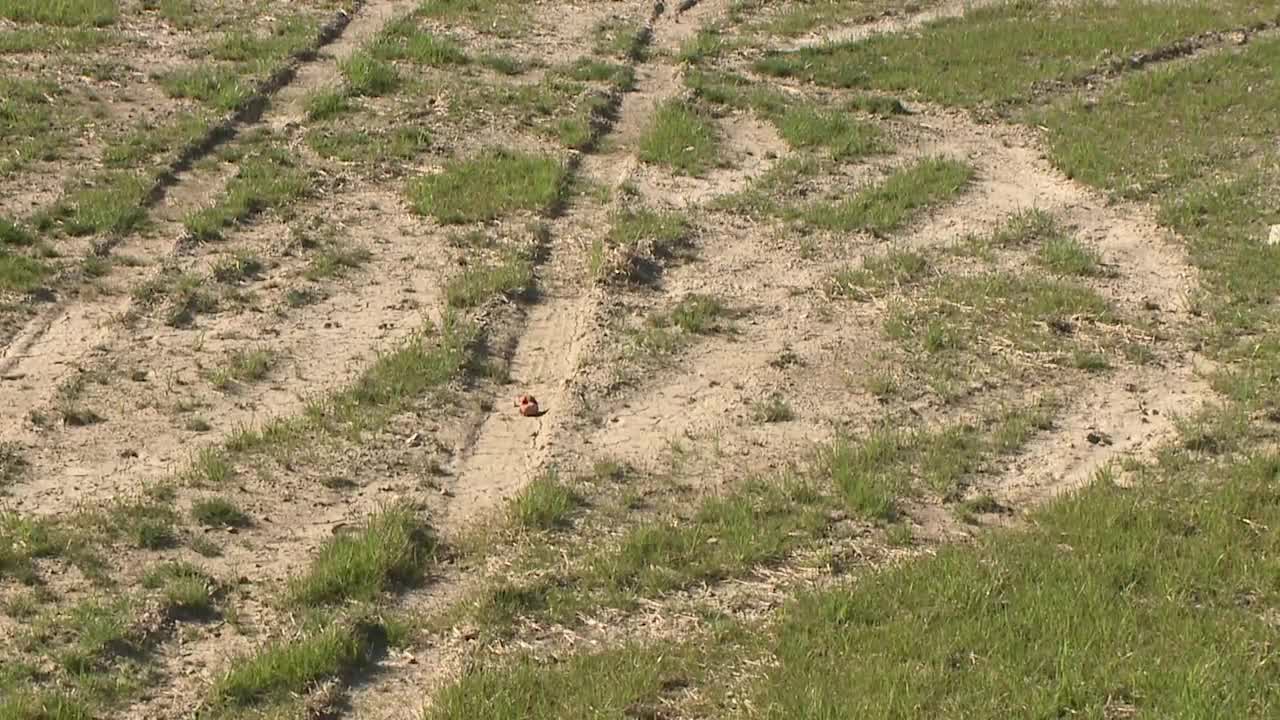 ‘It’s just sad’: Police investigate after Tremont field badly damaged ...