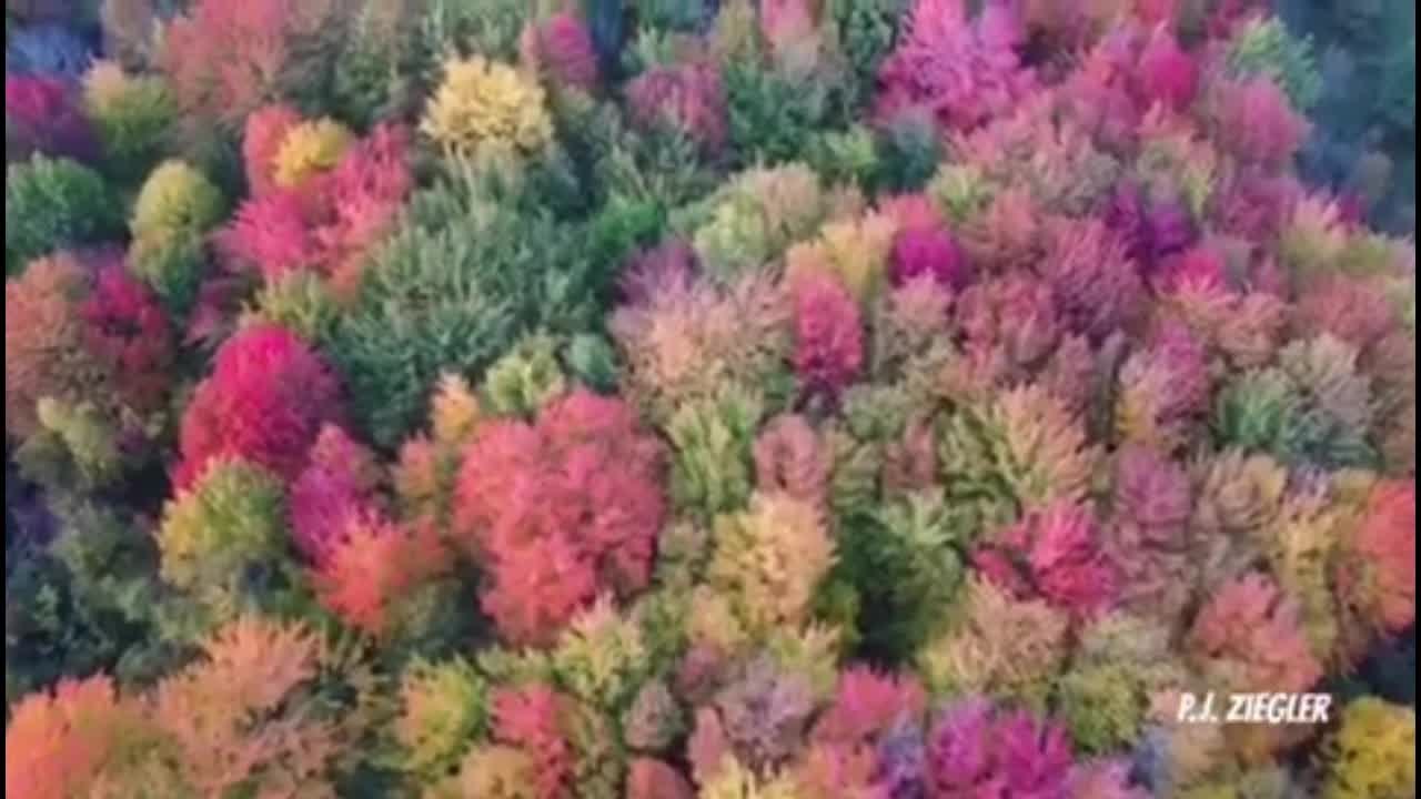 Fall colors: Fox 8’s PJ Ziegler captures beautiful foliage – Fox 8 ...