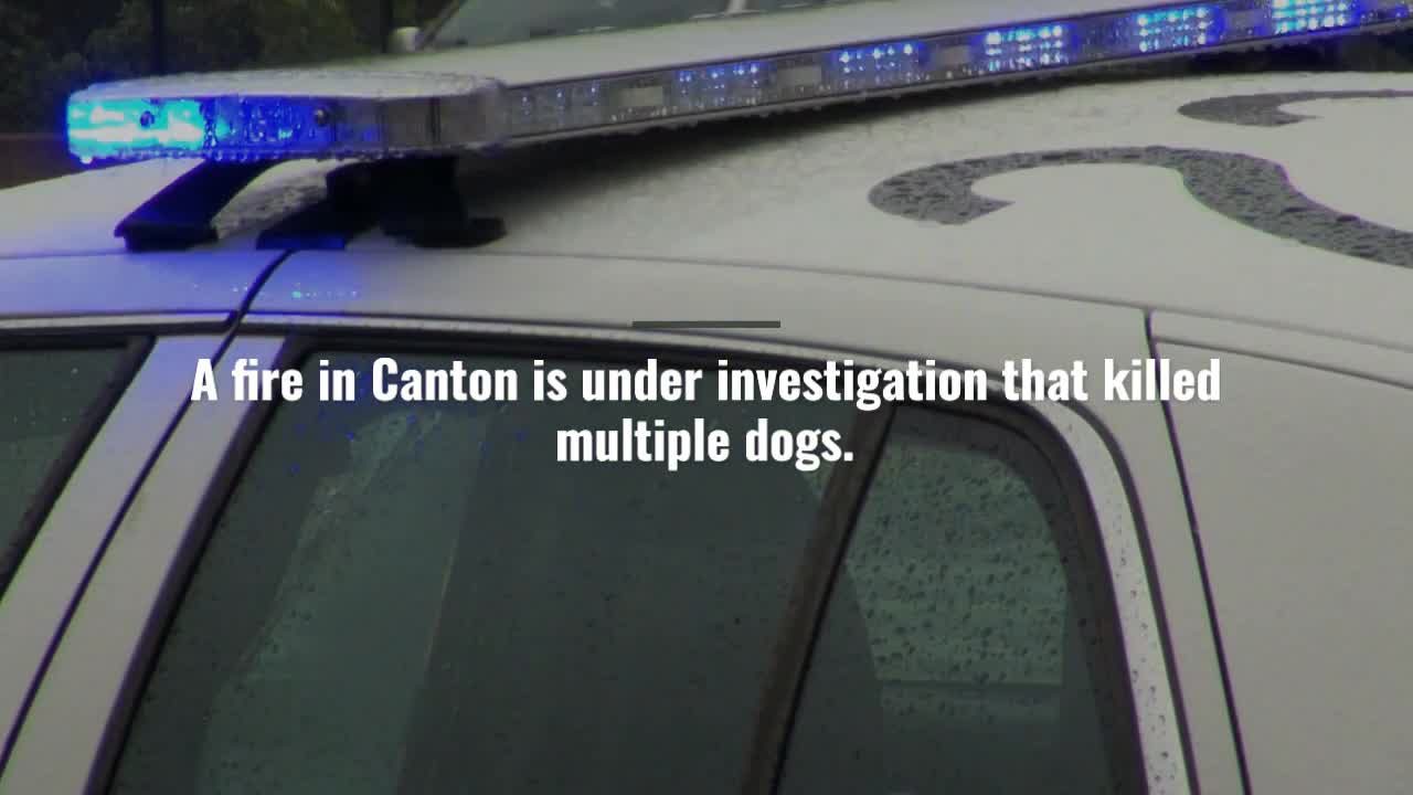 Dogs killed in Canton house fire – Fox 8 Cleveland WJW